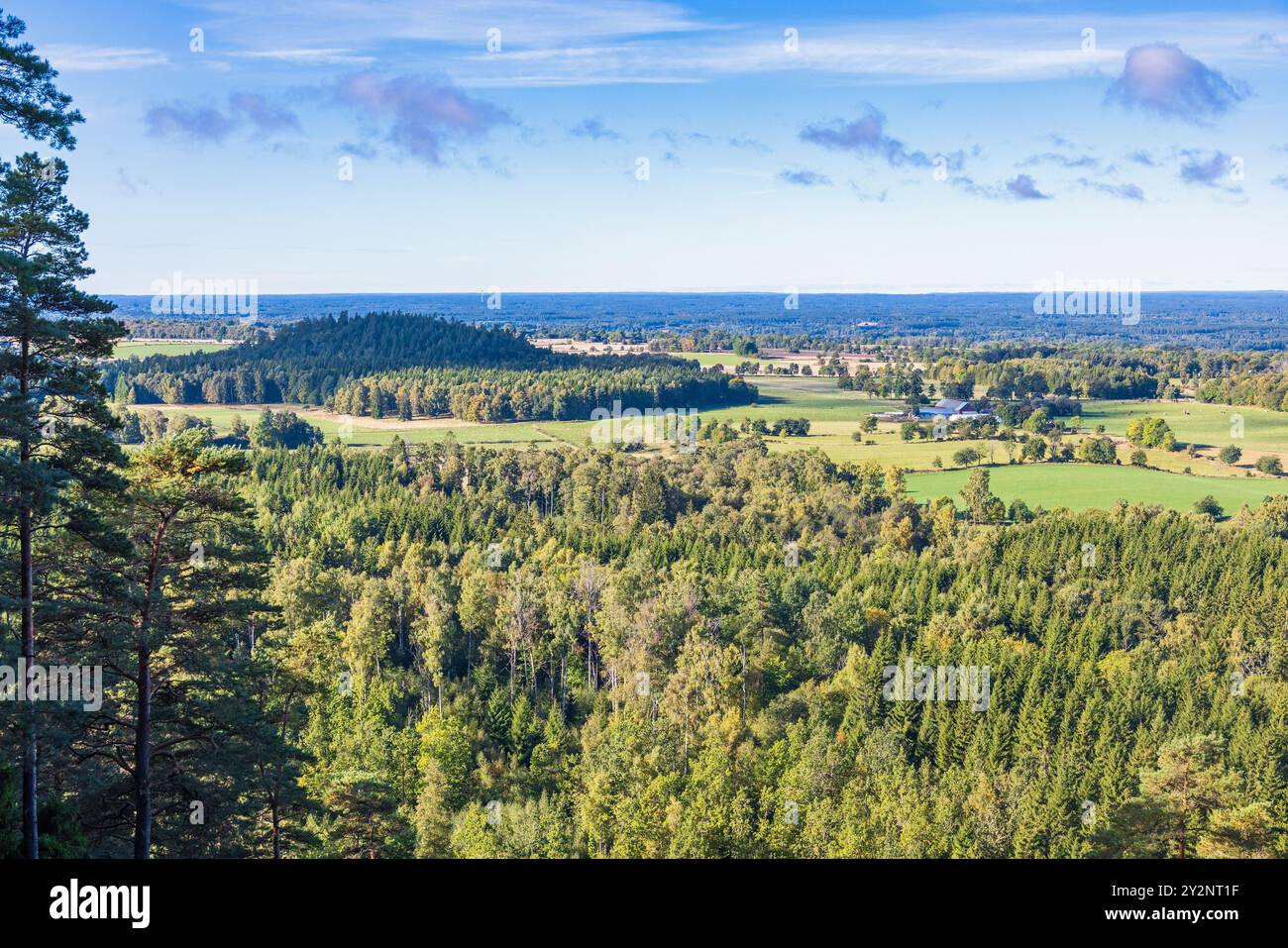 Aerial forest view in countryside hi-res stock photography and images ...