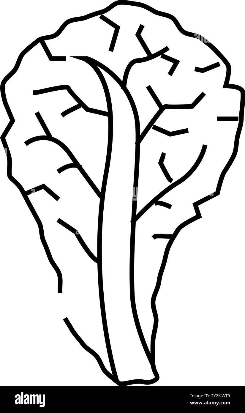 red lettuce line icon vector illustration Stock Vector Image & Art - Alamy