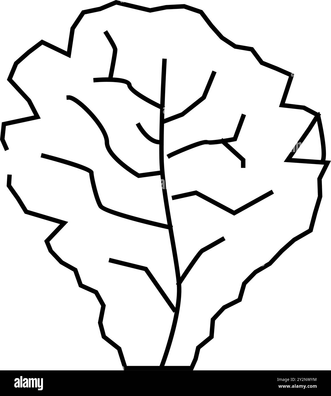 lettuce salad line icon vector illustration Stock Vector Image & Art ...