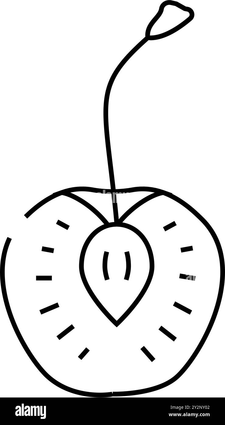 Cherry tree line icon Black and White Stock Photos & Images - Alamy