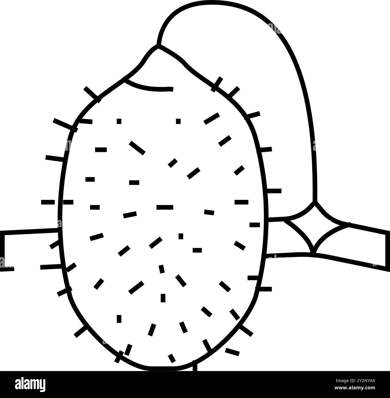 cucumber anguria line icon vector illustration Stock Vector Image & Art ...