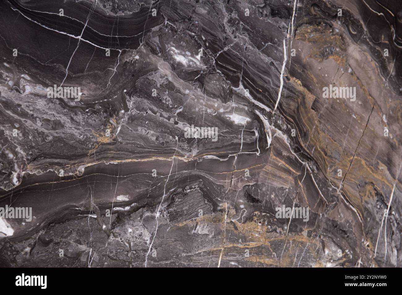 Luxury Grey Marble Arabescato Orobico with Natural Veins Stock Photo ...