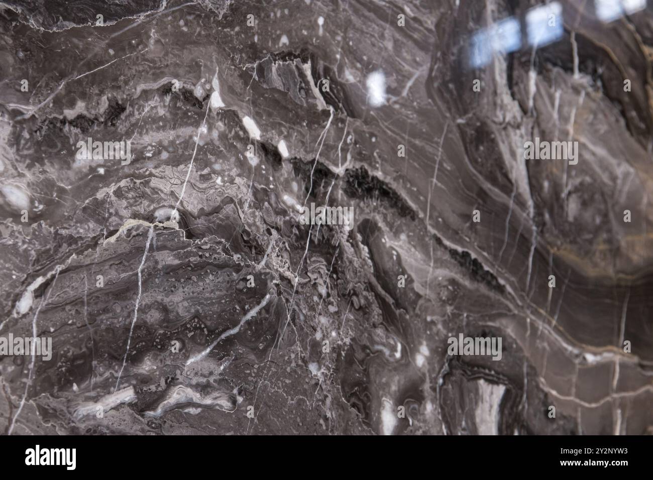 Luxury Grey Marble Arabescato Orobico with Natural Veins Stock Photo ...