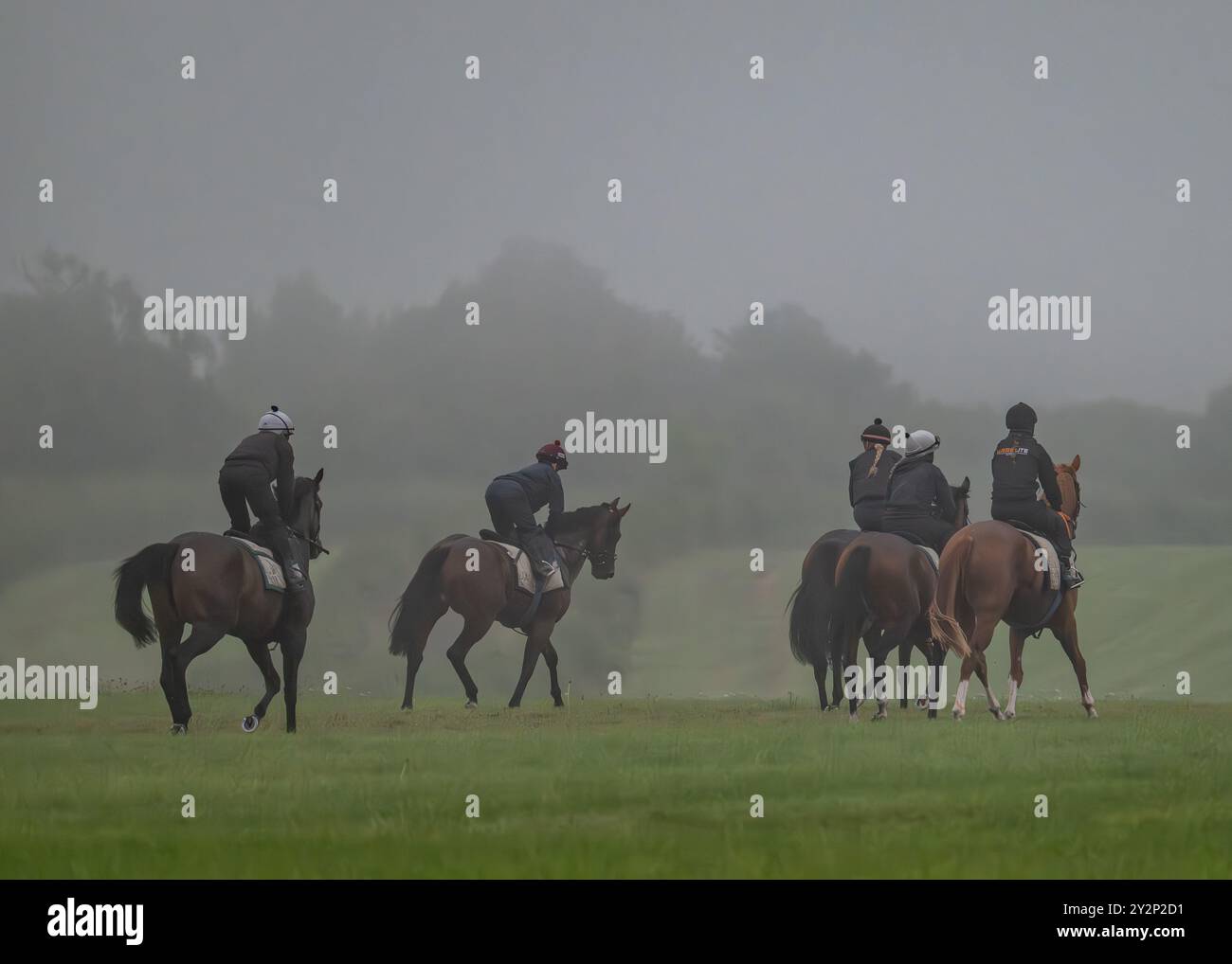 Lambourn Training Grounds, UK Stock Photo - Alamy