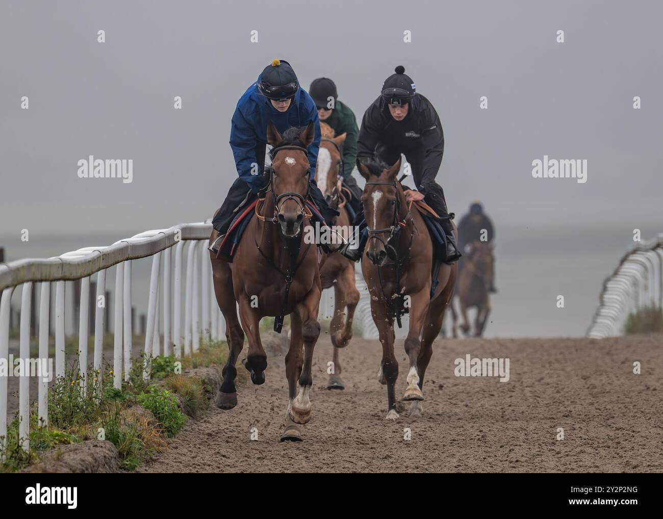 Lambourn Training Grounds, UK Stock Photo - Alamy