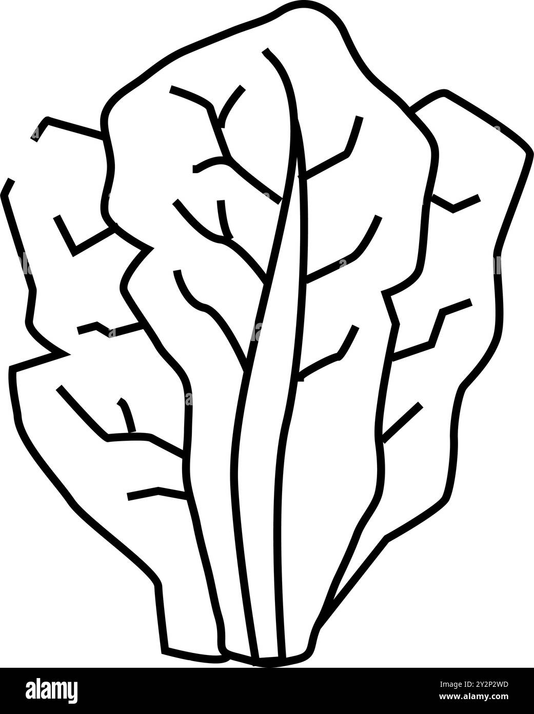 Young butterhead lettuce plant Stock Vector Images - Alamy