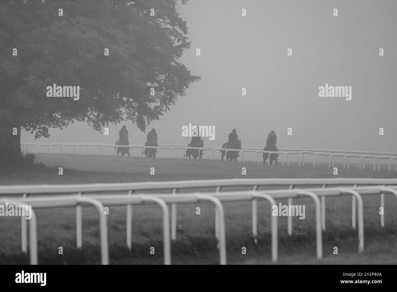 Lambourn Training Grounds, UK Stock Photo - Alamy