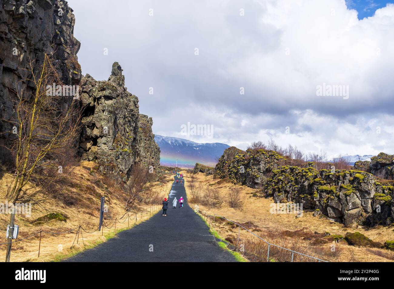 A hiker walks along a trail in Thingvellir National Park, Iceland, with ...