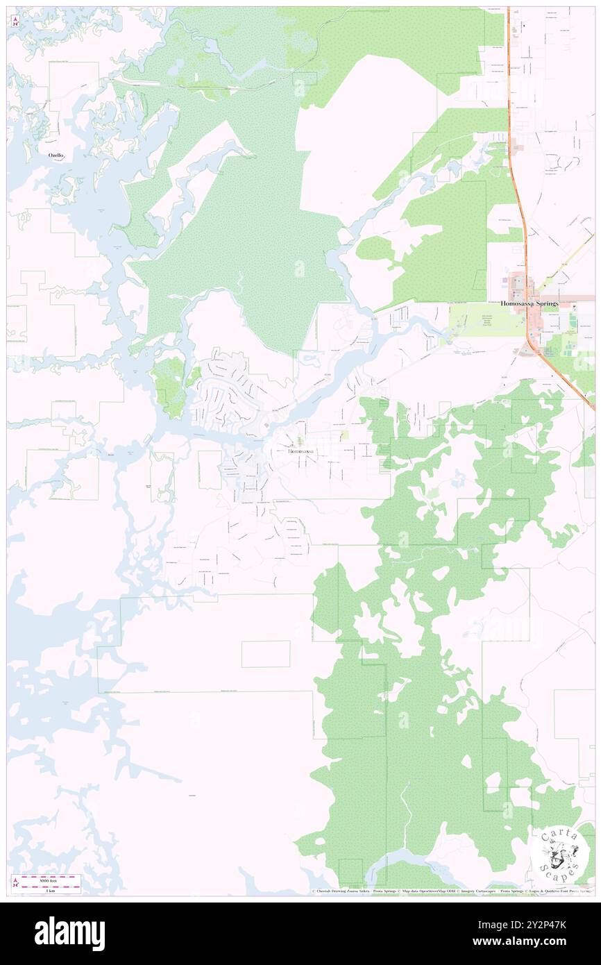 Homosassa florida Cut Out Stock Images & Pictures - Alamy