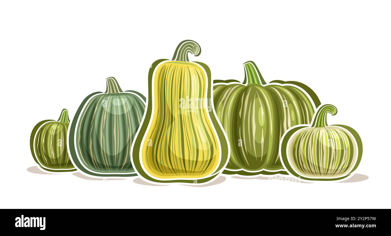Vector Kabocha Logo, decorative horizontal poster with cartoon design ...