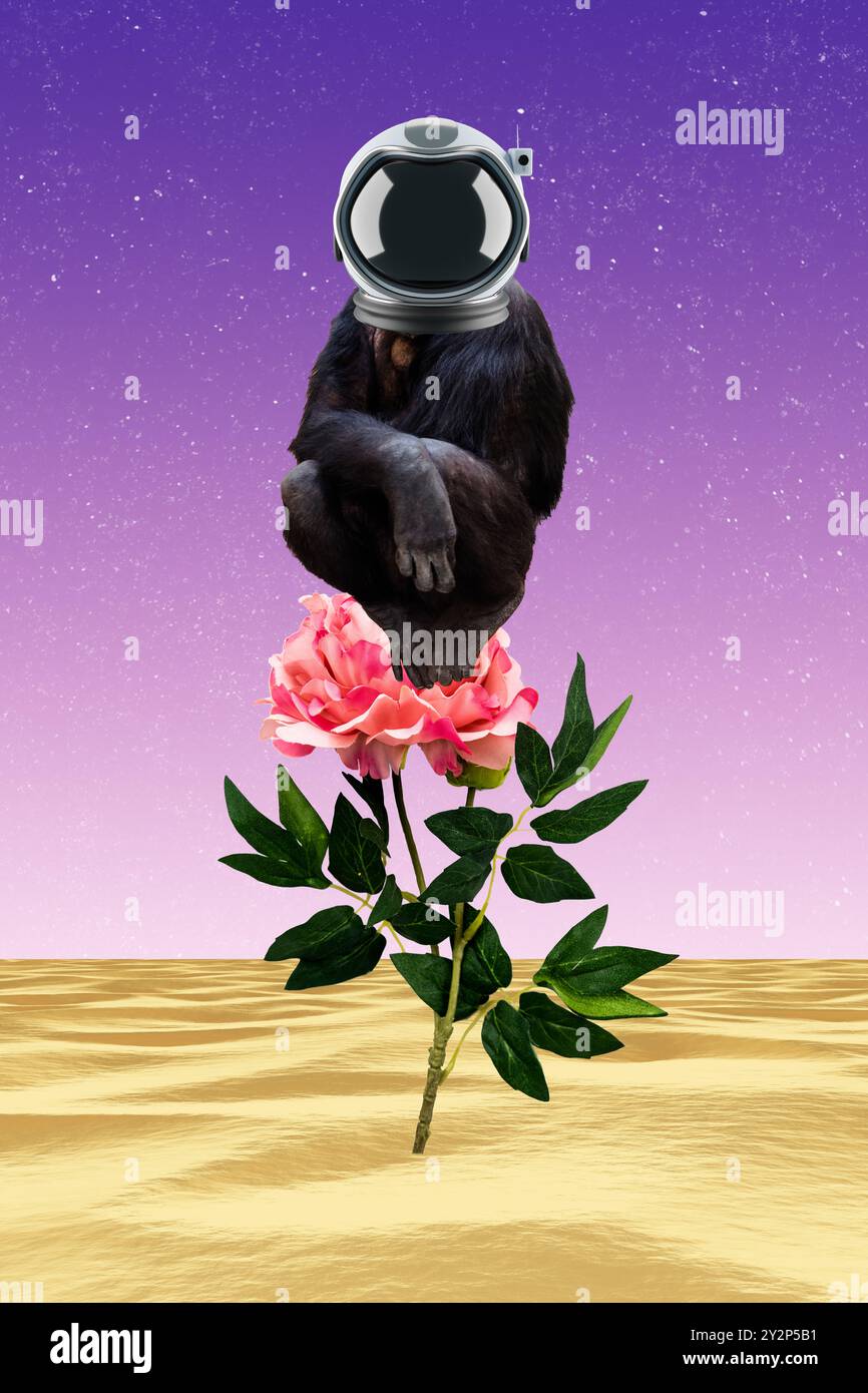 Desert primate hi-res stock photography and images - Alamy