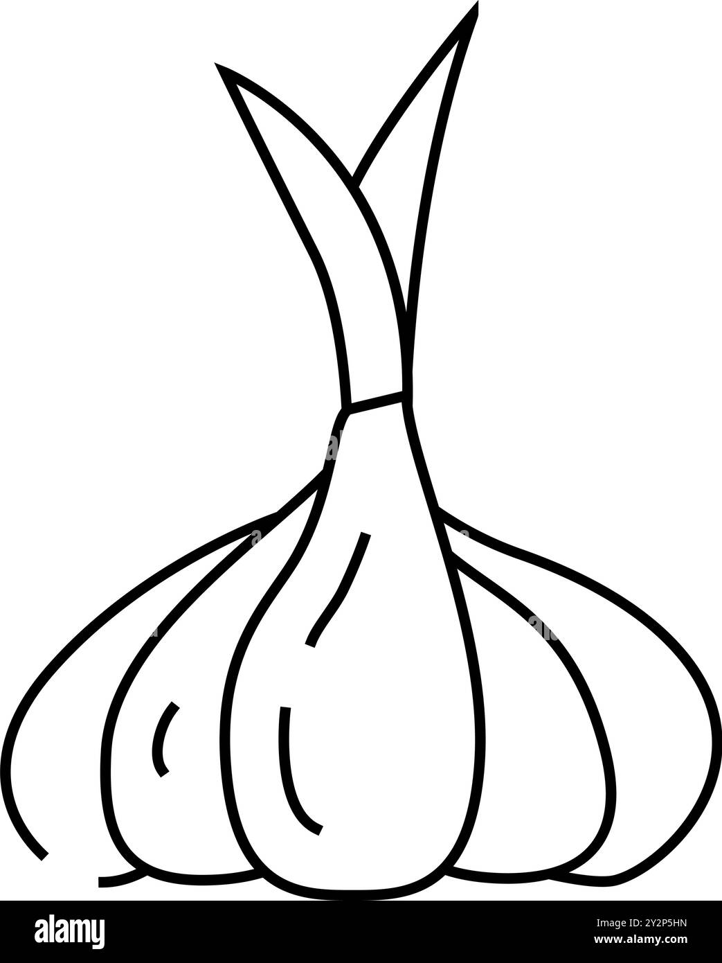 garlic line icon vector illustration Stock Vector Image & Art - Alamy