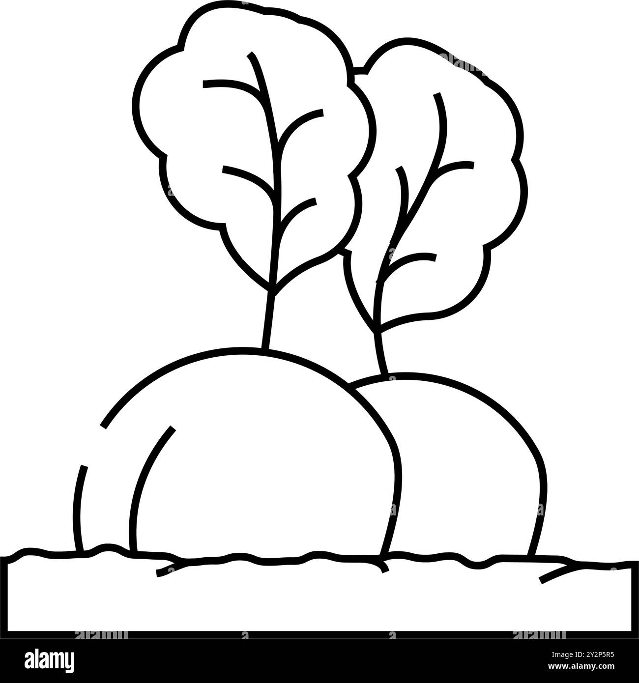 Radishes in a garden Black and White Stock Photos & Images - Alamy