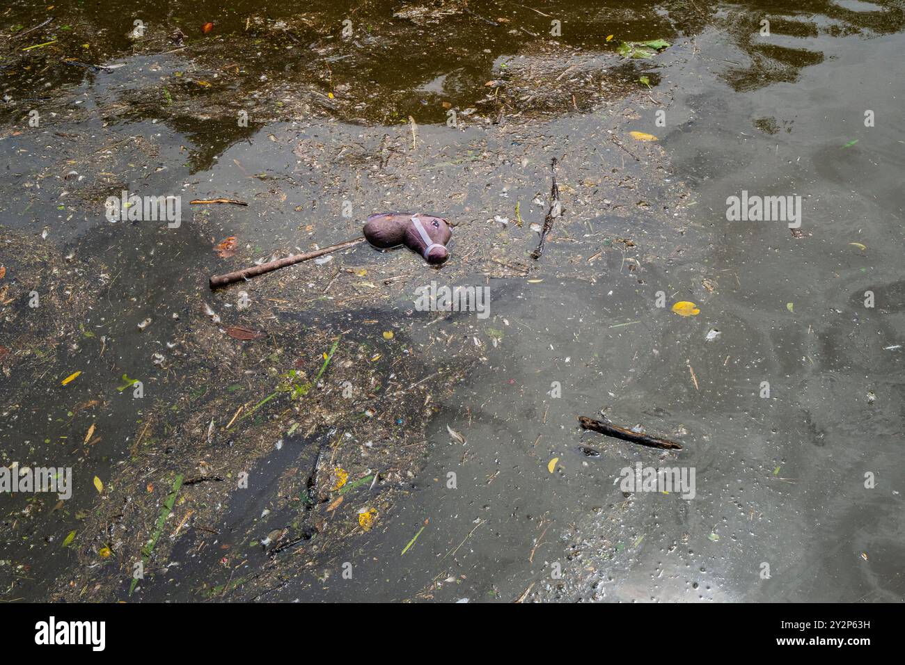 A childs hobby stick horse floating in a lake in the UK Stock Photo - Alamy