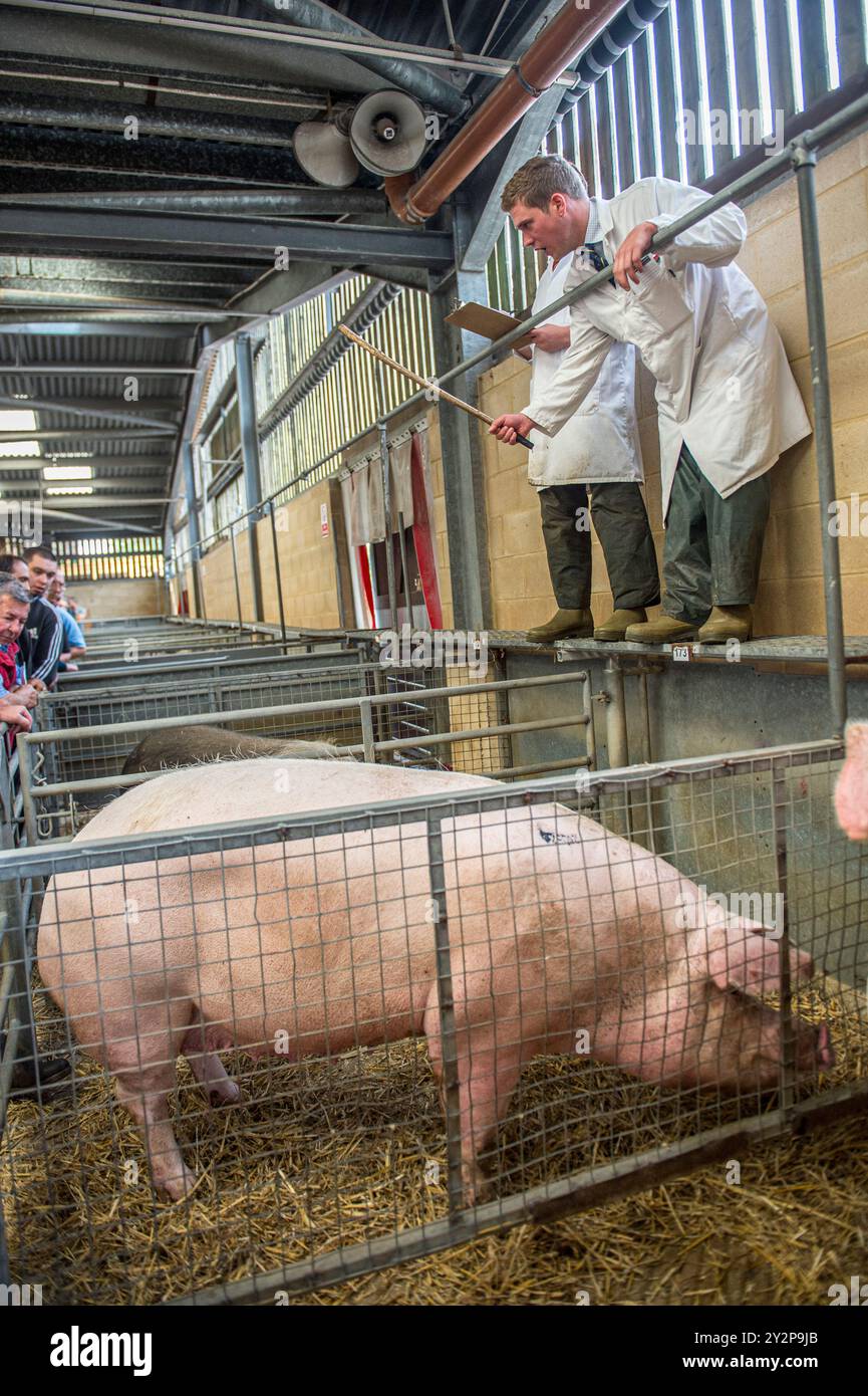Female auctioneer hi-res stock photography and images - Alamy