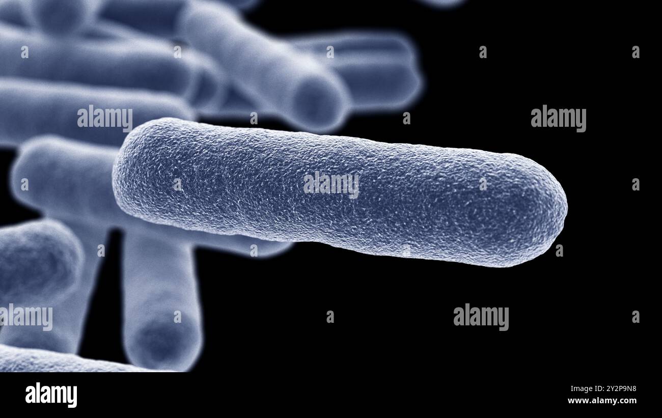 Gut bacteria microscope hi-res stock photography and images - Alamy