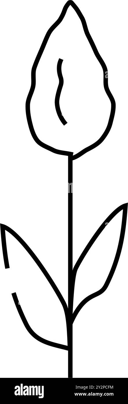 Sorghum cereal Black and White Stock Photos & Images - Alamy