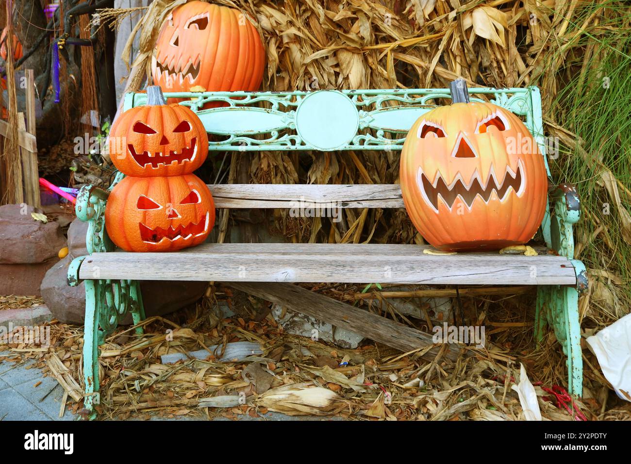 Various Sizes of Halloween Jack O Lantern Pumpkins on the Garden's ...