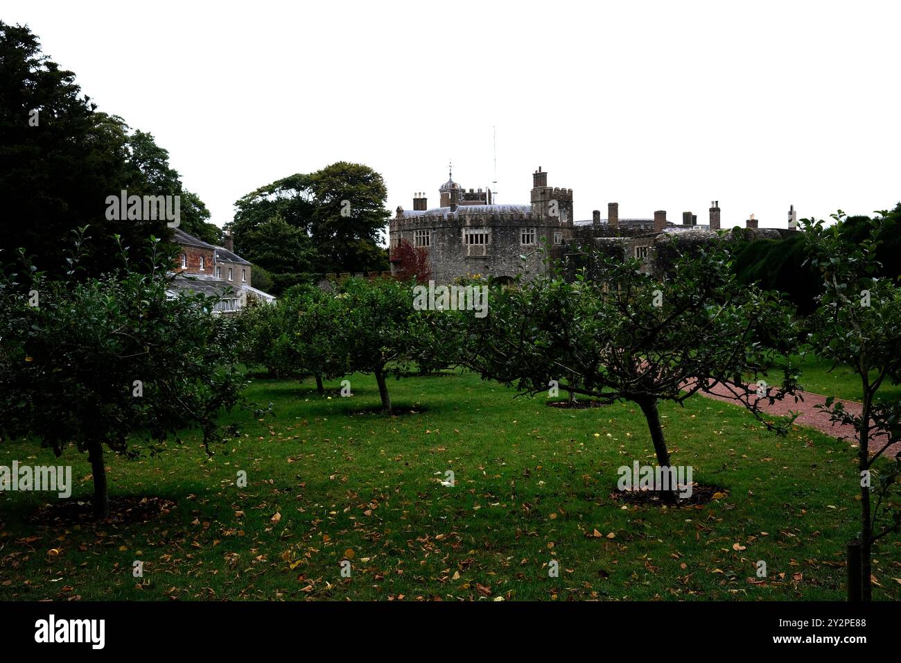 historic walmer castle with apple trees in the grounds,deal,kent,uk ...