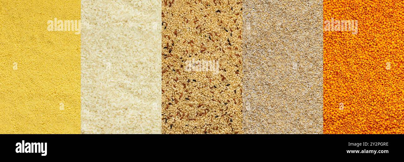 Various grain cereals banner, top view, millet and wheat grits, white ...