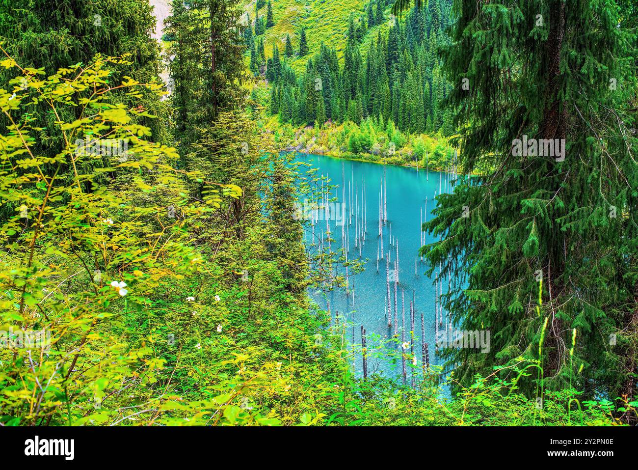 Lake Kaindy, the Kungey Alatau mountain range, northern Tien Shan. Lake ...