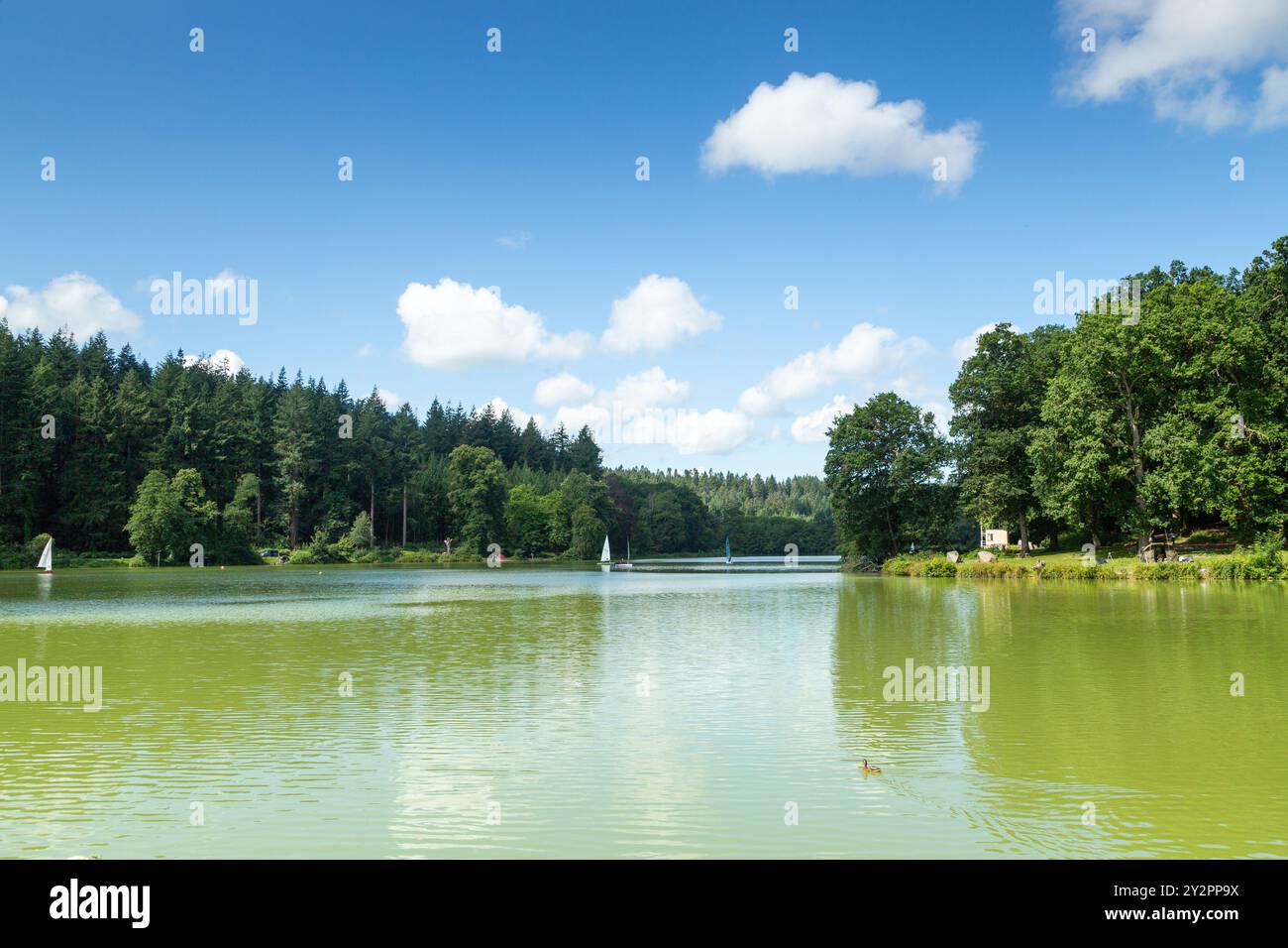 Shearwater (Shear Water) is a man-made freshwater lake near Crockerton ...