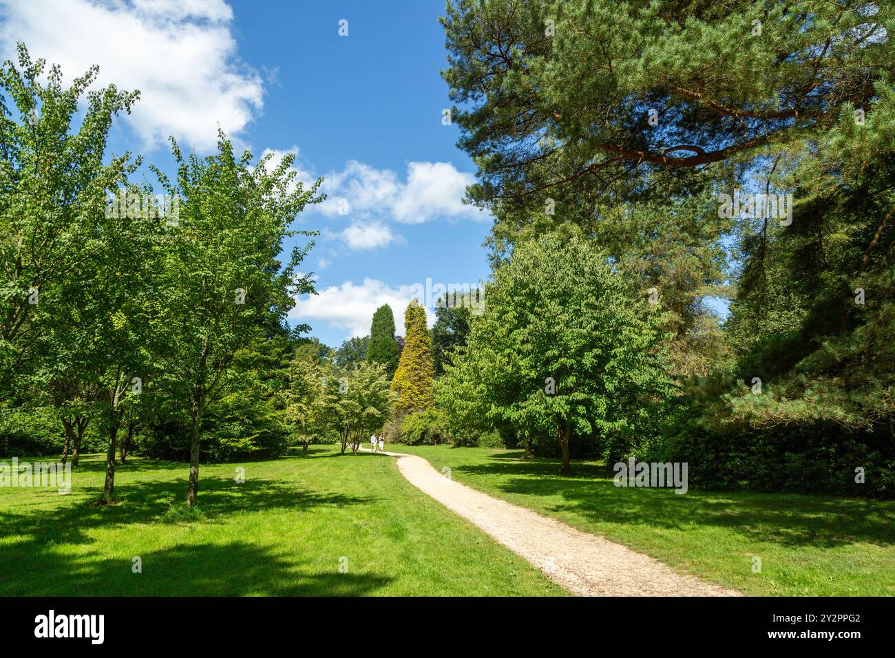 A footpath through Horningsham Country Park near Shear Water, Wiltshire ...