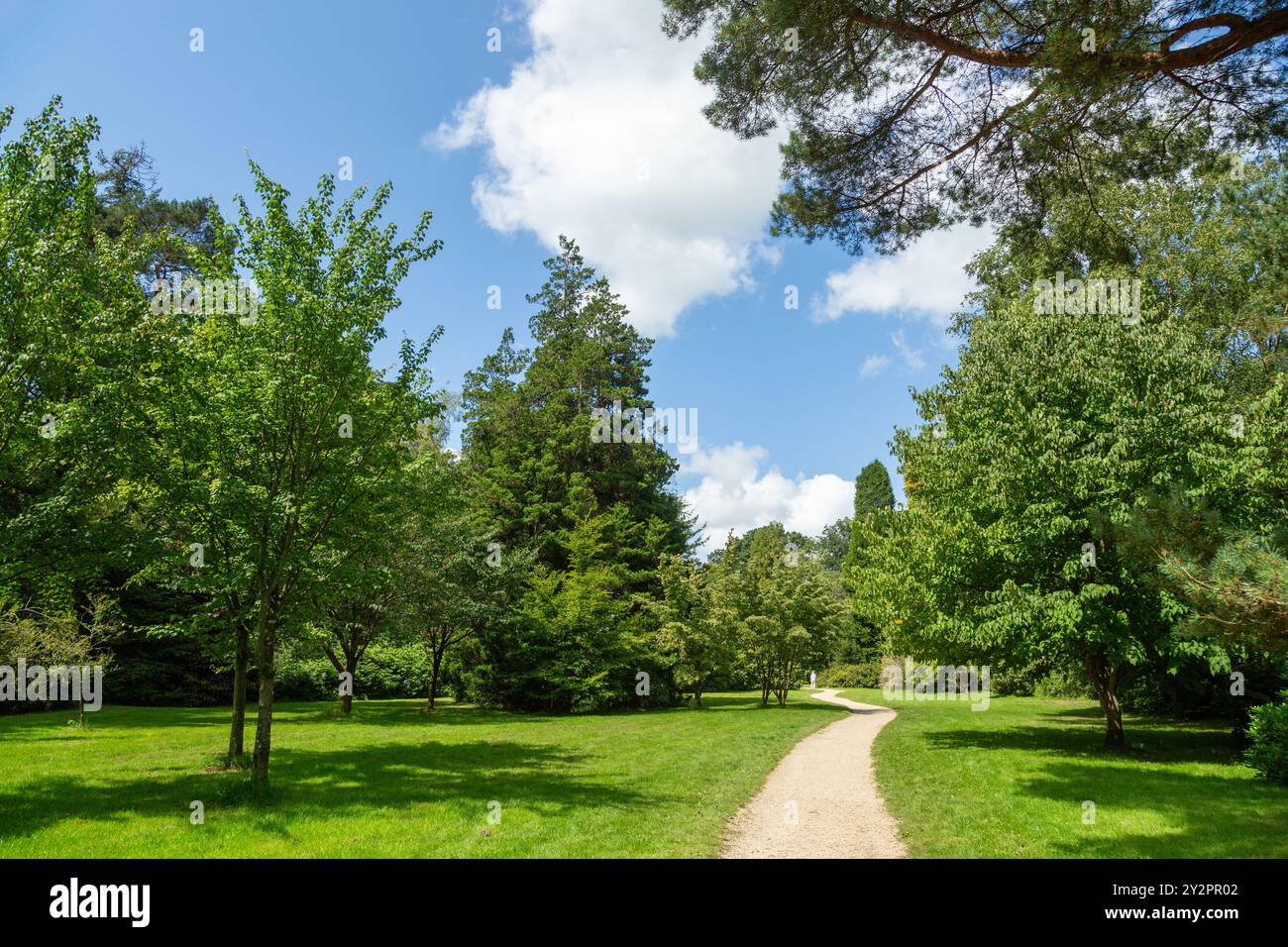 A footpath through Horningsham Country Park near Shear Water, Wiltshire ...