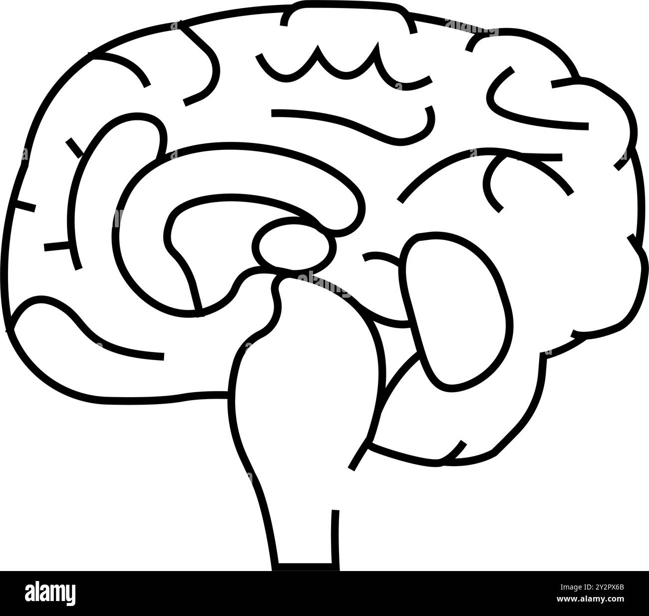 neurology brain line icon vector illustration Stock Vector Image & Art ...