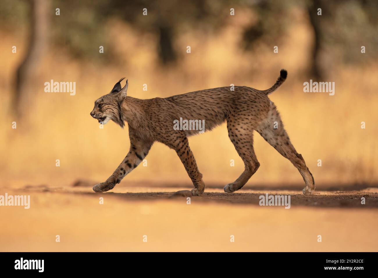 Real natur hi-res stock photography and images - Alamy