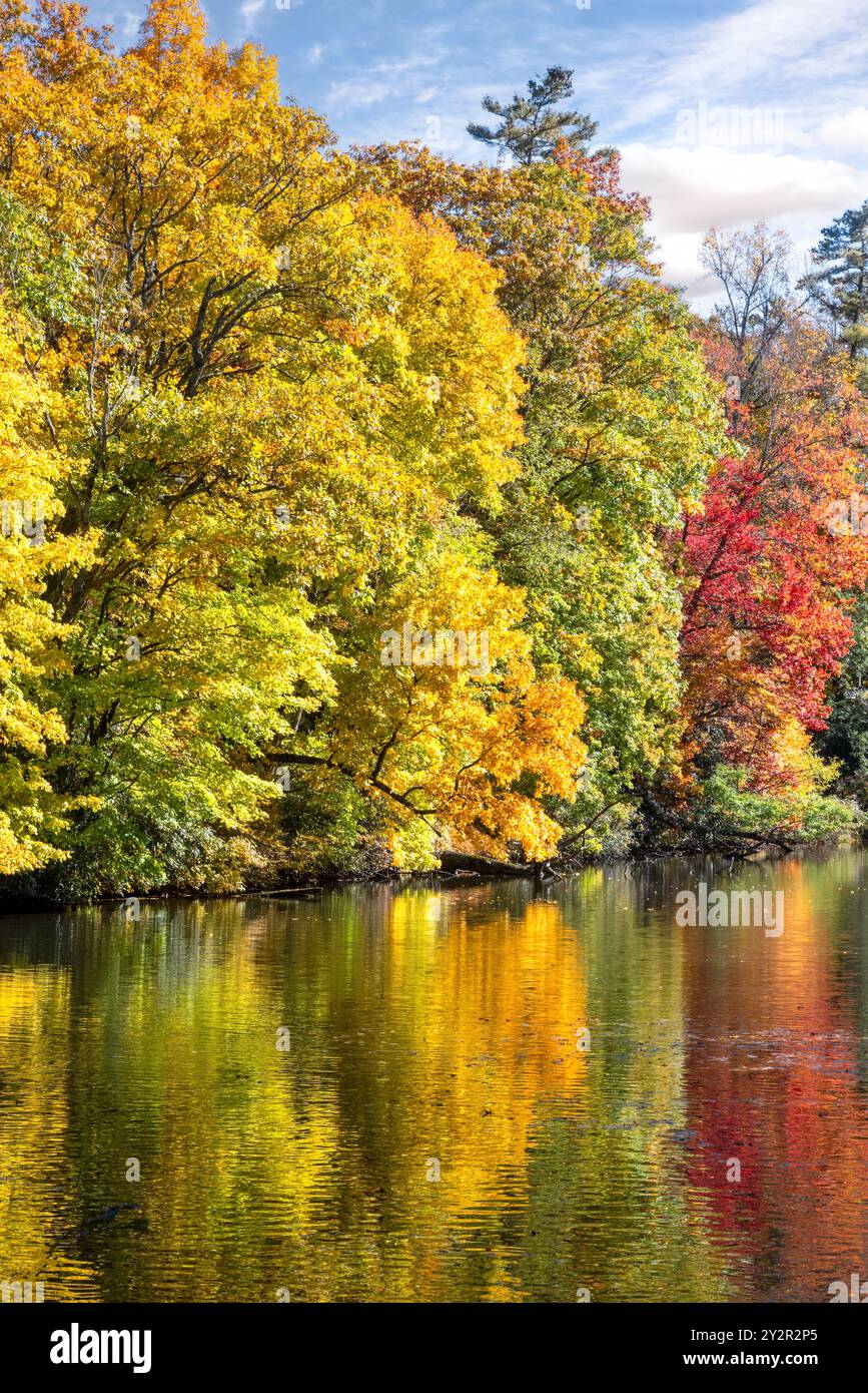 The Cullasaja River, part of the Nantahala National Forest and part of ...