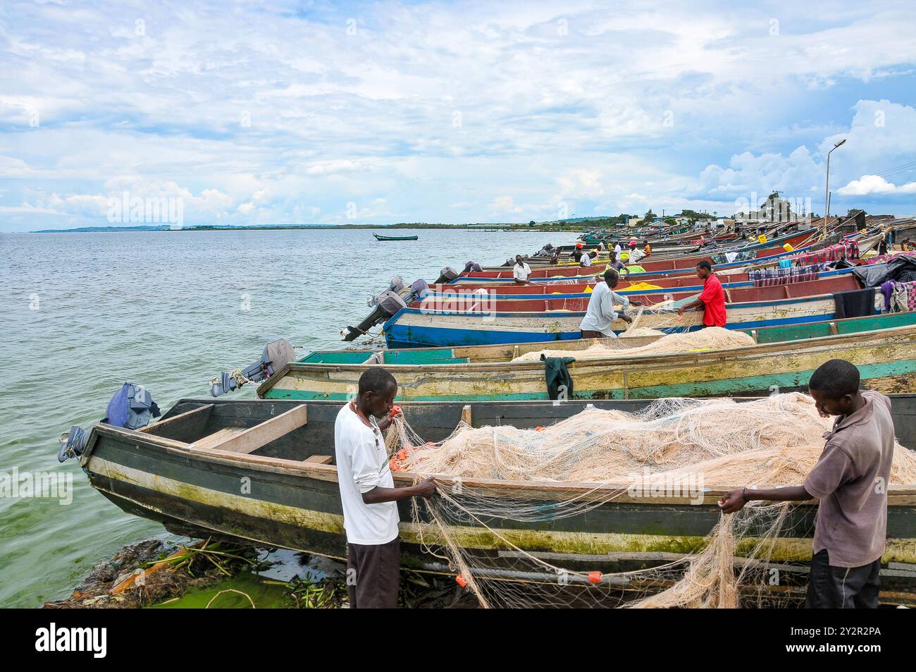 Nile Perach Fish Lake Victoria Uganda Stock Photo - Alamy