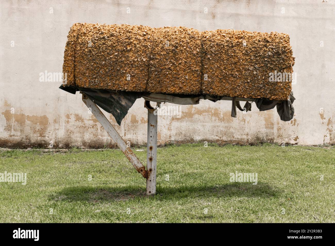 A weathered hay bale holder stands in a grassy area, commonly used in ...