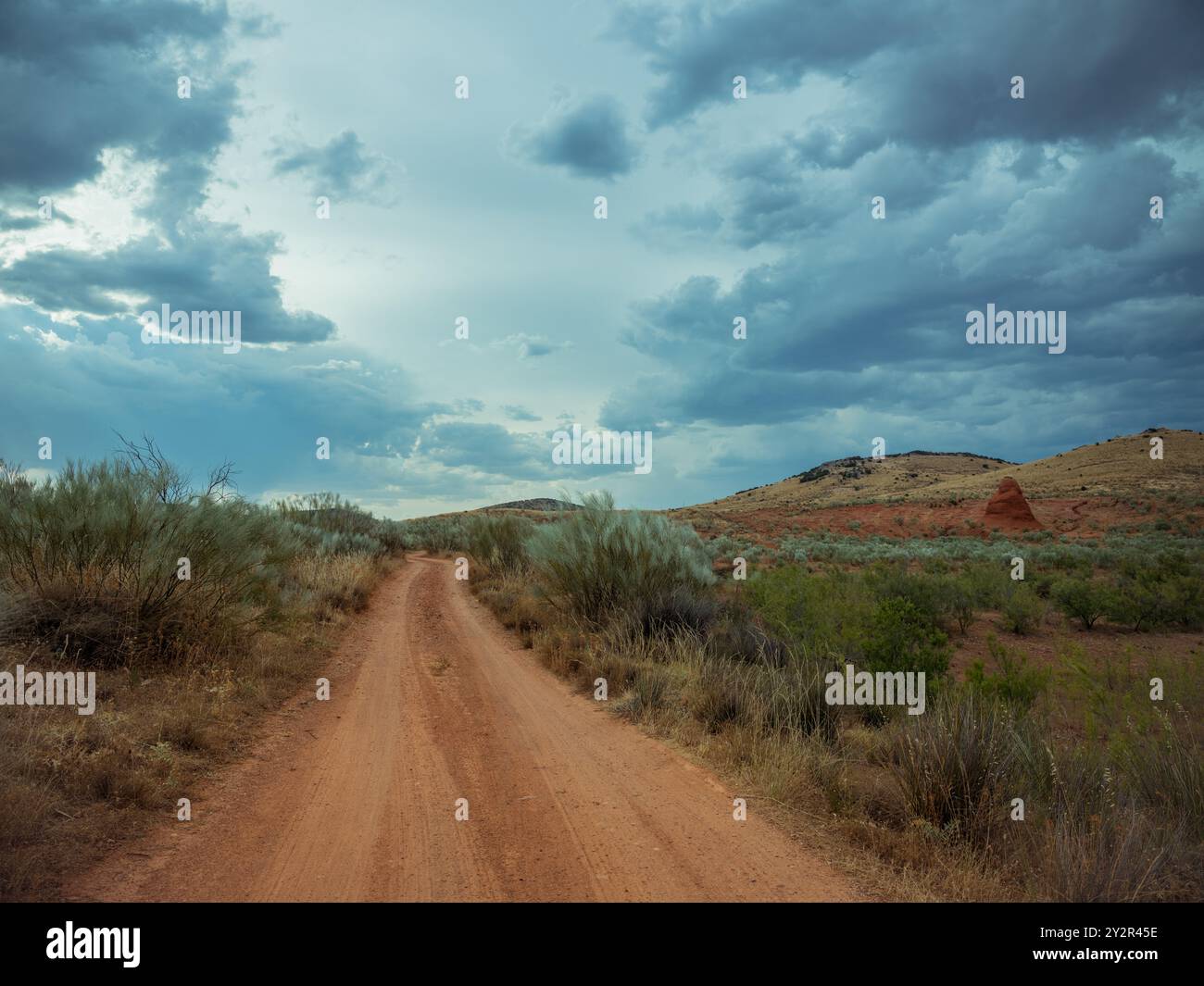 A secluded dirt road meanders through a sparse desert landscape under a ...