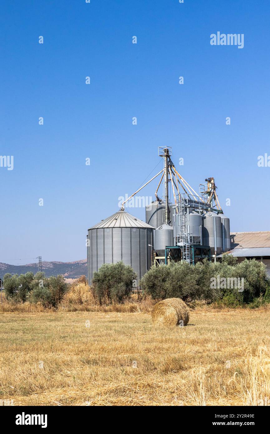 Pastoral economy hi-res stock photography and images - Alamy