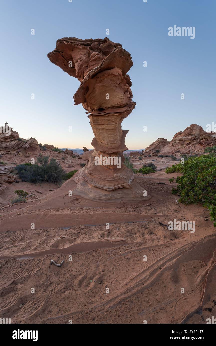 Eroded sandstone formation standing at Coyote Buttes in the Paria ...