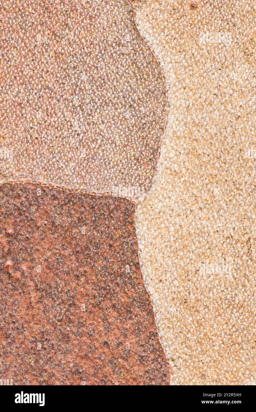 Subtle inner patterns hi-res stock photography and images - Alamy