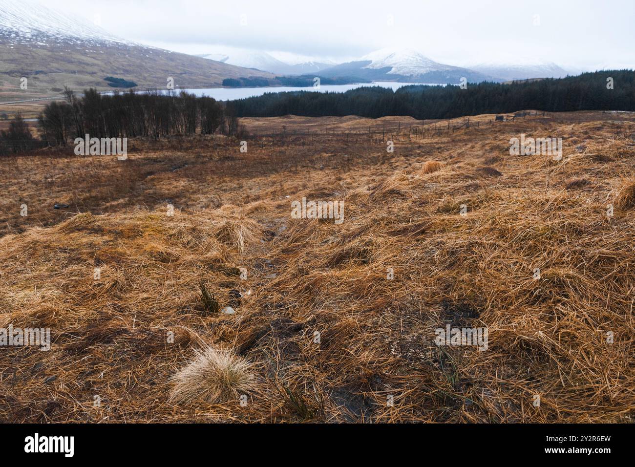 Moody landscape captures the raw beauty of Scotland’s Highlands during ...