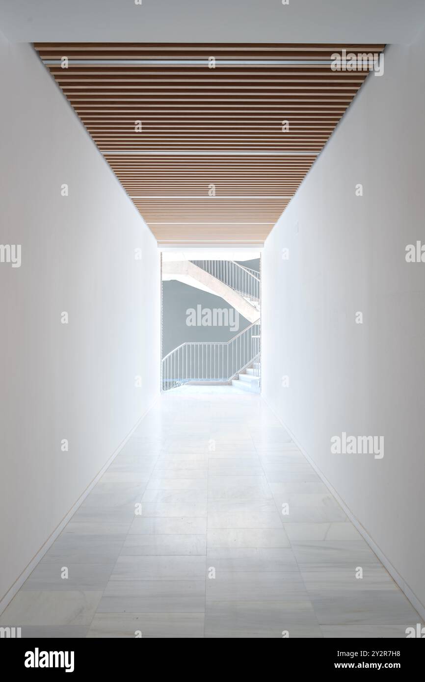 An airy, minimalist university corridor featuring clean lines, a sleek ...
