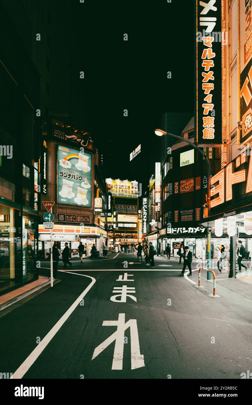 TOKYO, JAPAN - MAY 12 2019: Neon signs illuminate Tokyo's busy Shinjuku ...