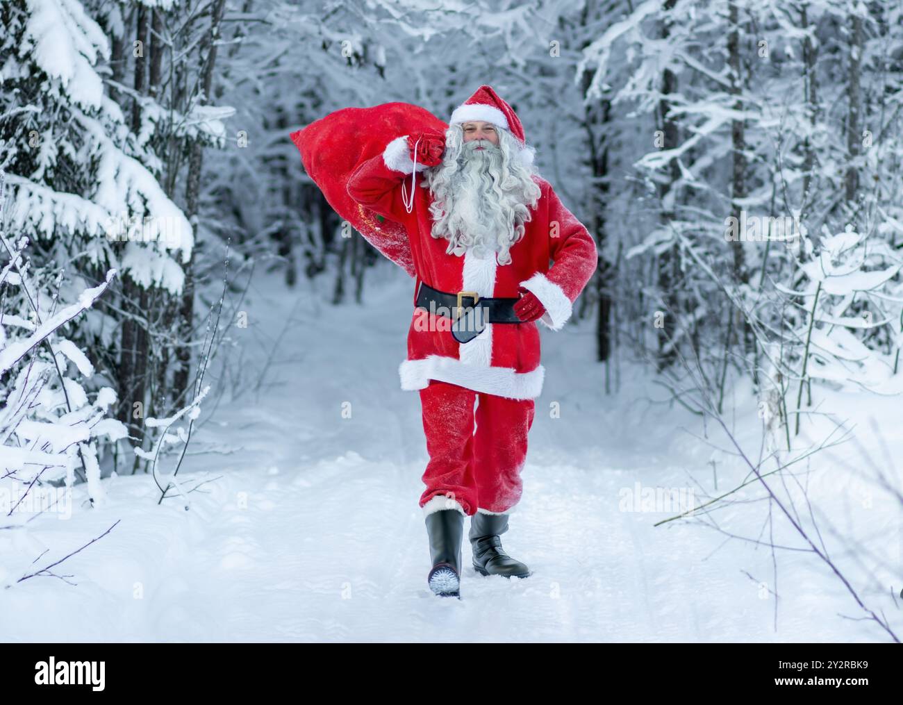 Santa Claus with a sack walks along a snowy path in the forest Stock ...