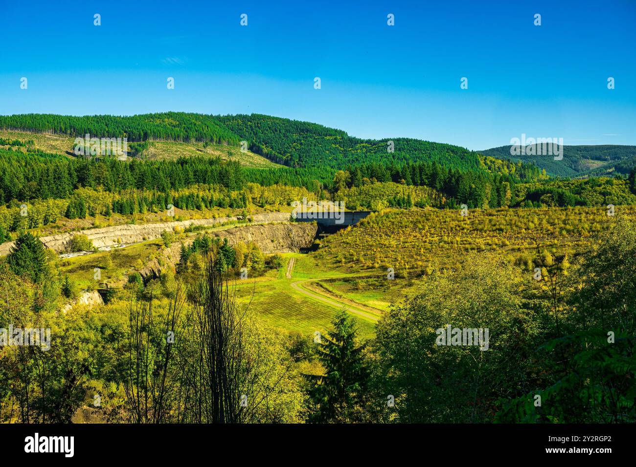 A ROCK LEDGE AND A SEDIMENT RETAINING DAM WITH A TREE-LINED MOUNTAIN ...
