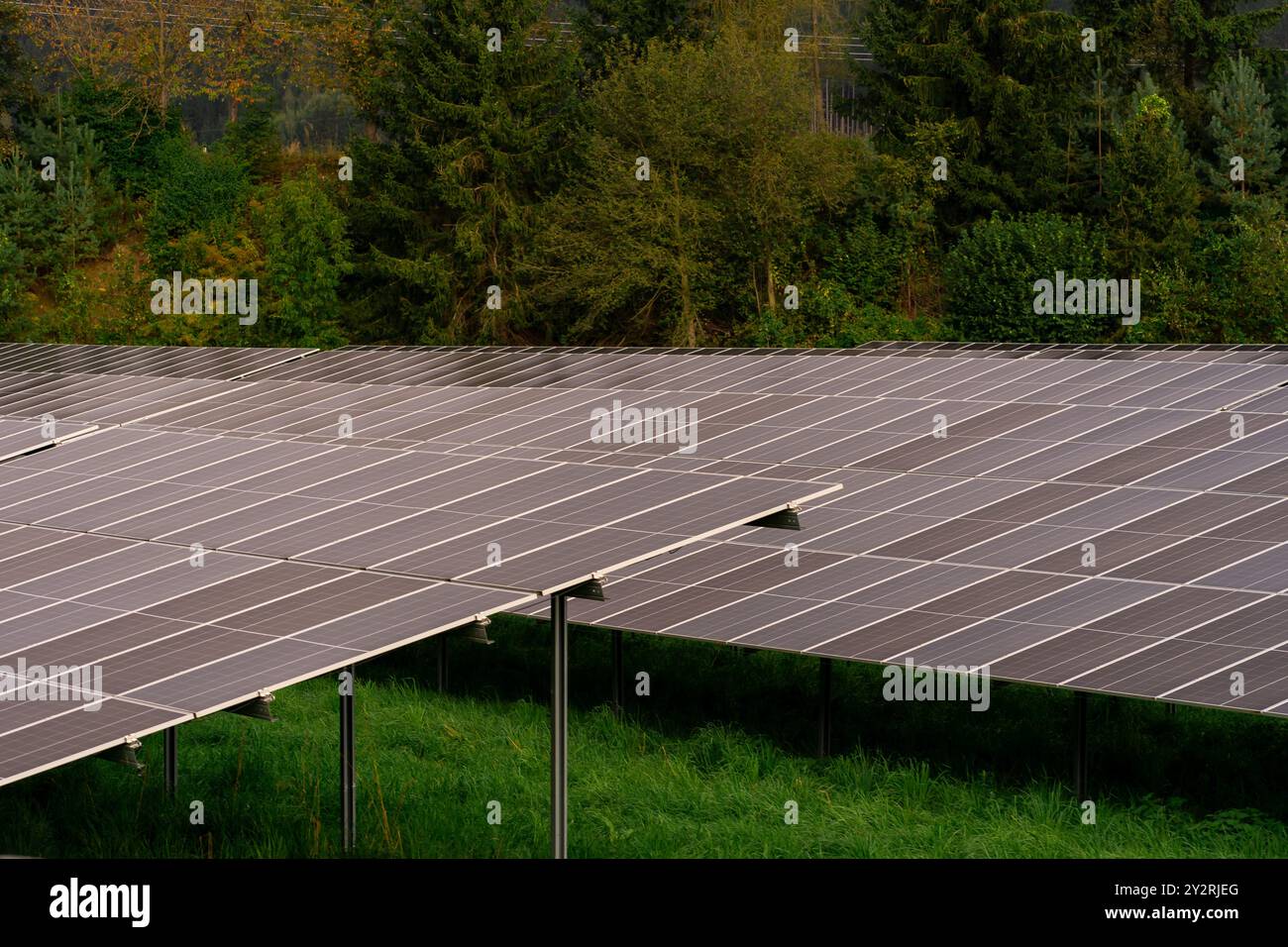 View of large solar panels on a solar farm on an autumn morning Stock ...