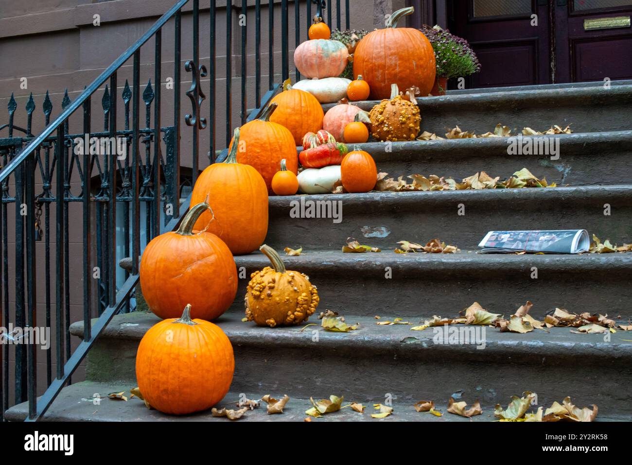 The pumpkins arranged on the steps of a house with fallen leaves Stock ...