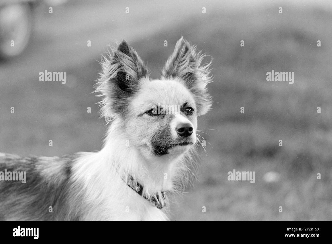 Actual 35 - 8 - 1971: With the king in borderlandThe garrison in Sør ...