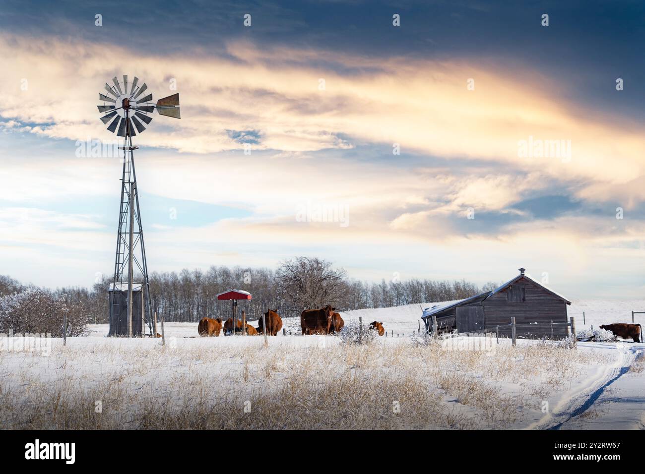 Winter farm scene with old windmill and weathered leaning barn on snow ...