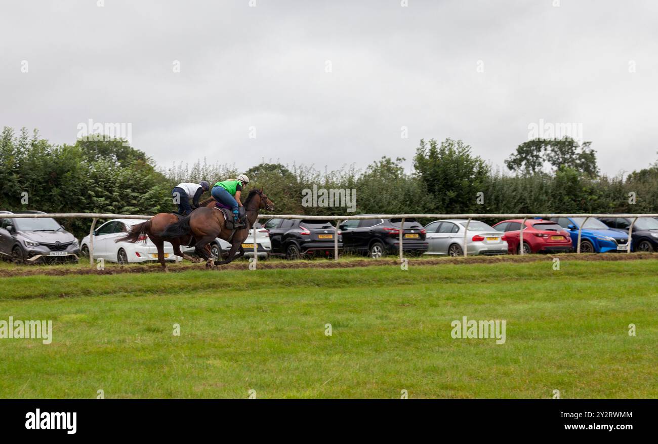 Two racehorses on the gallops at at Denton Hall stables,Darlington ...