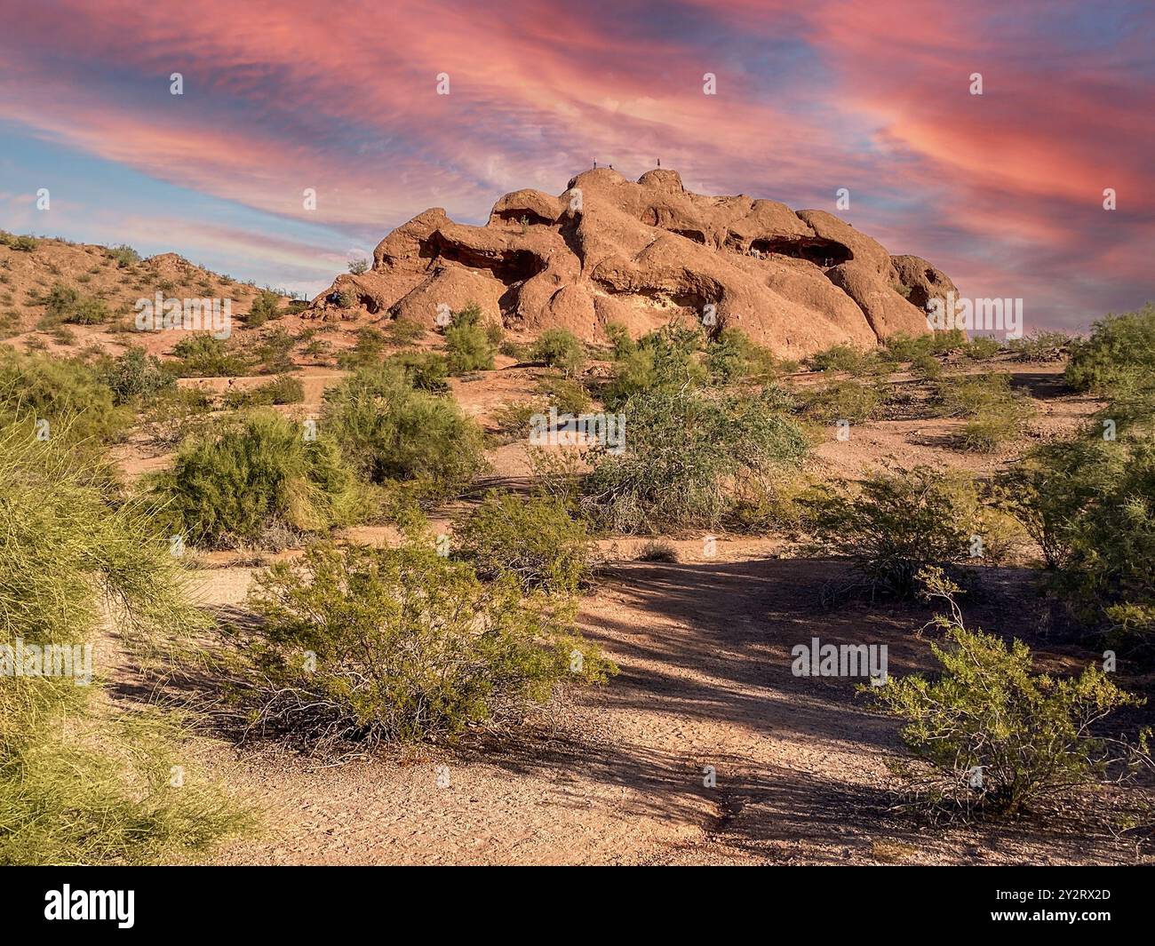 Sunset, Papago Park, Sonoran Desert, Arizona Stock Photo - Alamy