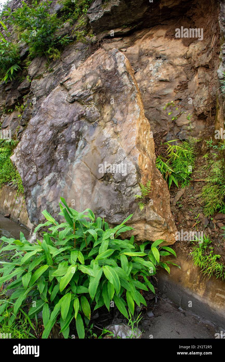 A geological formation with green hills and road in Himalaya Stock ...
