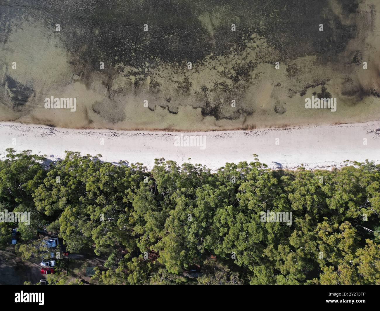 Aerial view of a coastal beach with a forested area and clear shallow ...